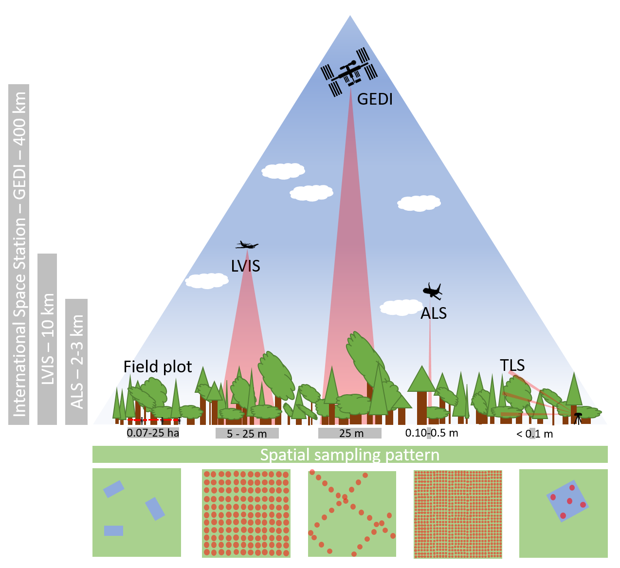 GEDI (Global Ecosystem Dynamics Investigation) – Mangrove Science