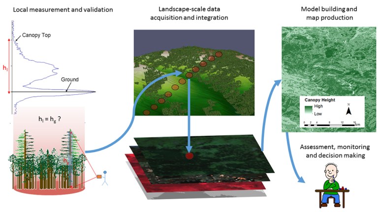 GEDI (Global Ecosystem Dynamics Investigation) – Mangrove Science